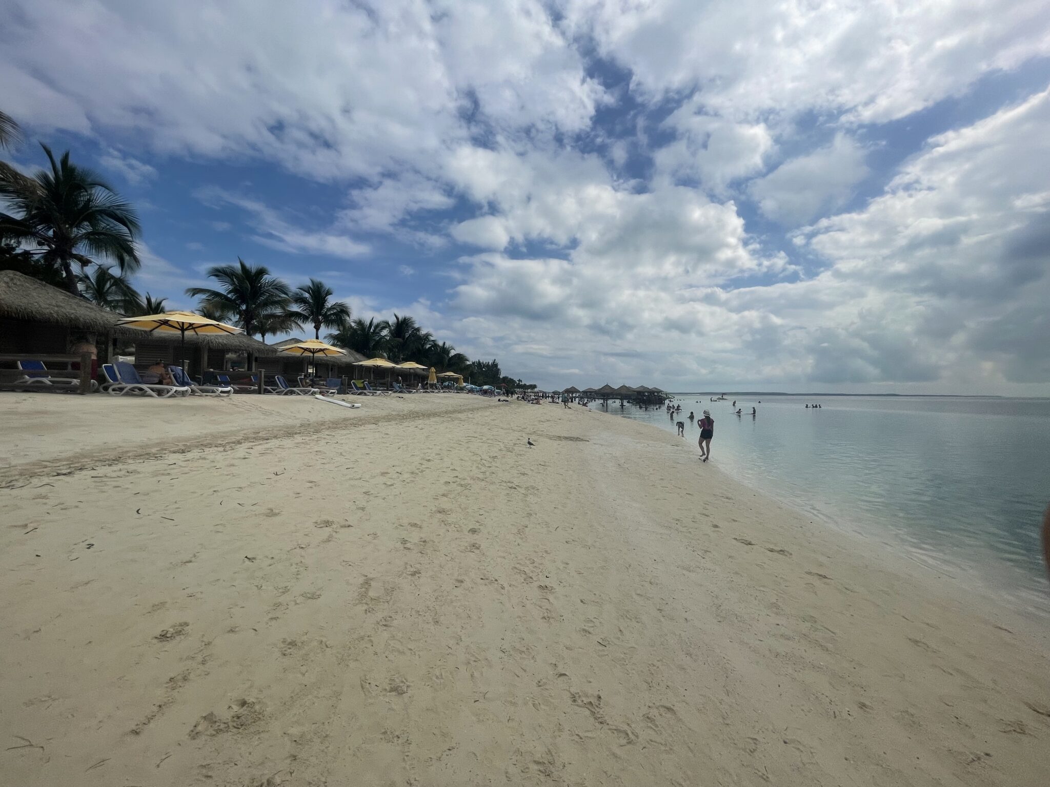 Perfect Day in Coco Cay Review - Nonstop Points